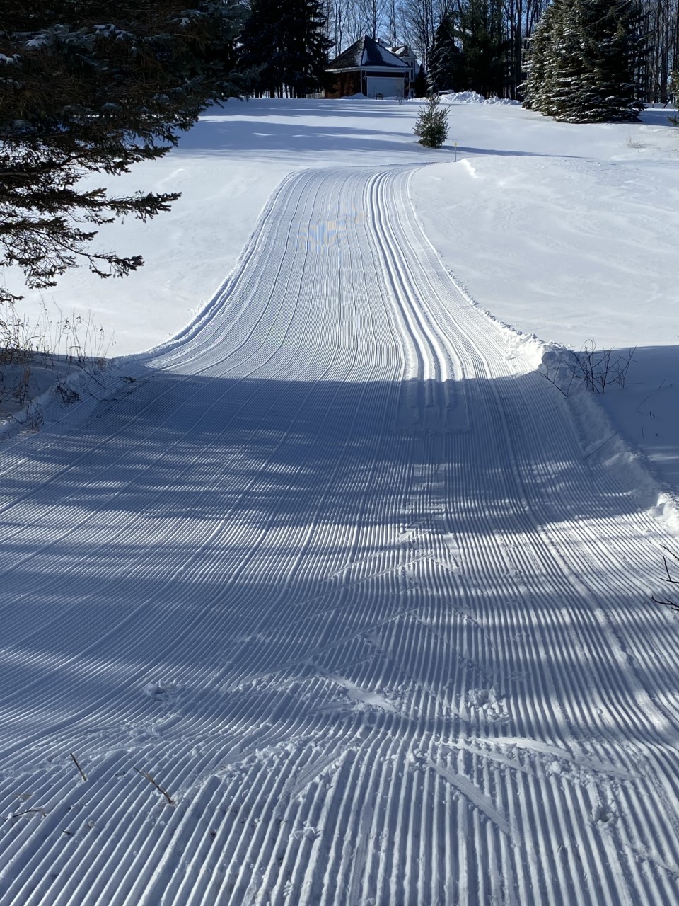 Race & Trail Updates – The White Pine Stampede